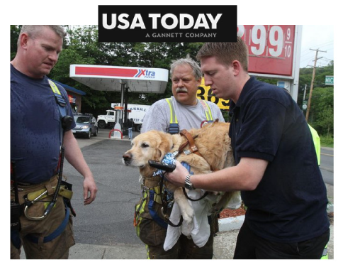 ada-USA-TODAY-WHOLE-IMAGE - ADA Law for Service Animals -The Training Video