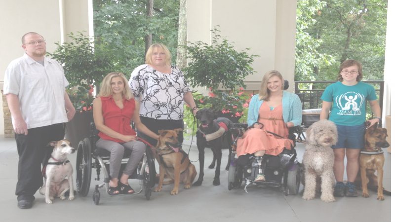 ADA Law for Service Animals-Training Video for Businesses